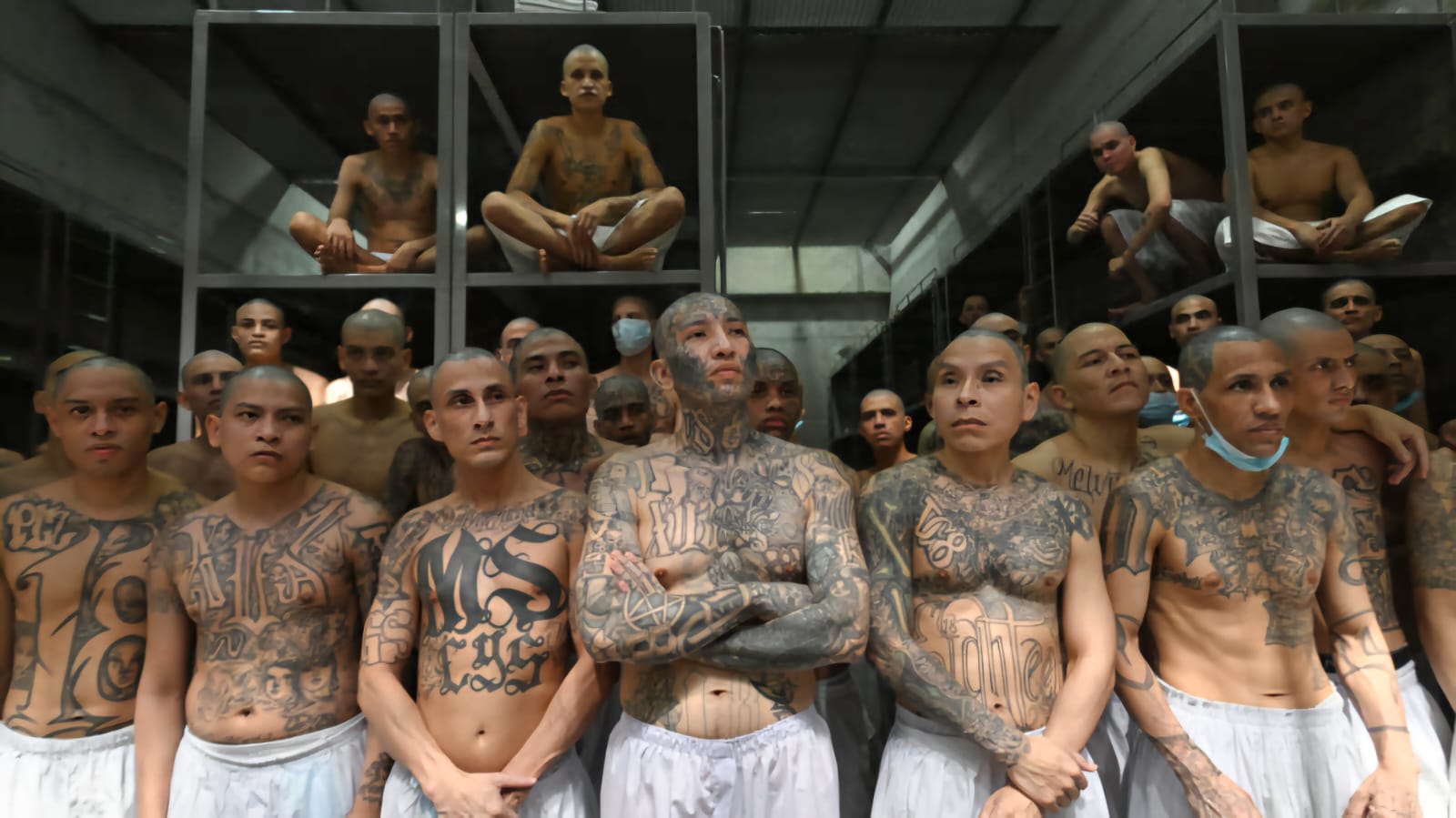Cristosal se retira sin condenar el terror de las pandillas en sus 25 ...